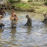 Half Day Nadi Sightseeing & Mud Pool Tour - The Experience of the Guides and Group Size