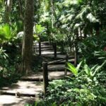 Half-Day Nadi Tour: Lookout, Temple & Village - What Could Be Better