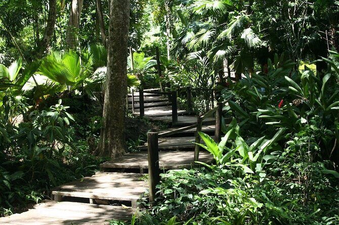 Half-Day Nadi Tour: Lookout, Temple & Village - What Could Be Better