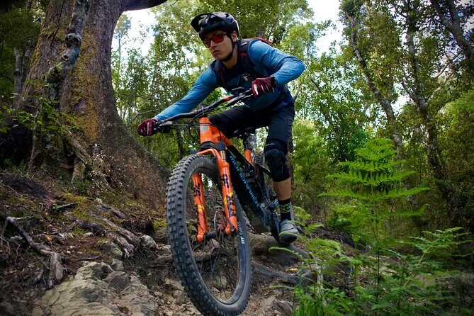 Half Day Nelson Electric Mountain Bike Rental Adventure - What You Can Expect During Your Ride