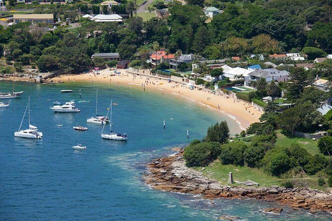 Half-Day or Full-Day Private Guide Hire From Sydney - The Tour Experience: What Can You Expect?