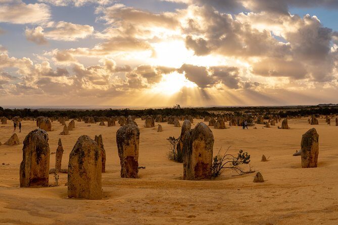 Half Day Pinnacles Sunset Tour - The Experience: Pros and Cons