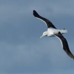 Half-Day Private City, Sights & Wildlife Tours - Practical Details and Considerations
