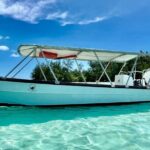 Half Day / Private Lagoon Adventure in Mo'orea - Price and Value