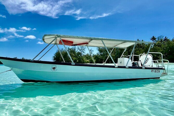 Half Day / Private Lagoon Adventure in Mo'orea - Price and Value