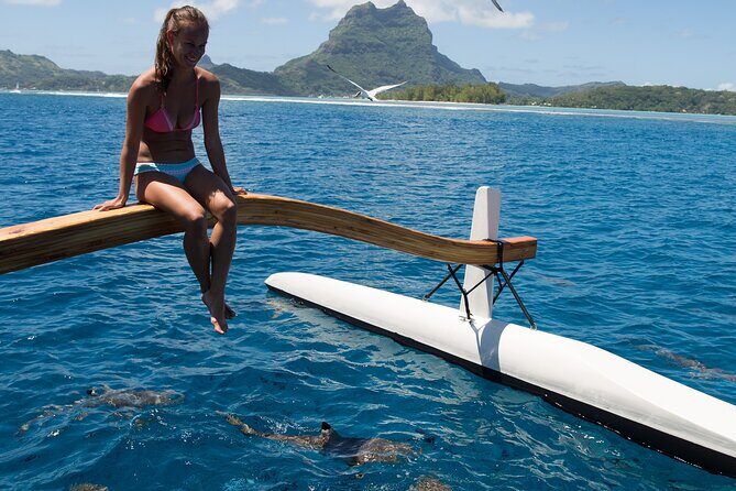Half Day Private Lagoon Snorkeling Experience - The Sum Up