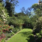 Half day Private Tour of Dunedin City Highlights and Peninsula Scenery - Final Thoughts: Is This Tour Worth It?