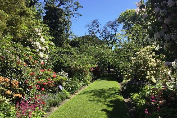 Half day Private Tour of Dunedin City Highlights and Peninsula Scenery - Final Thoughts: Is This Tour Worth It?