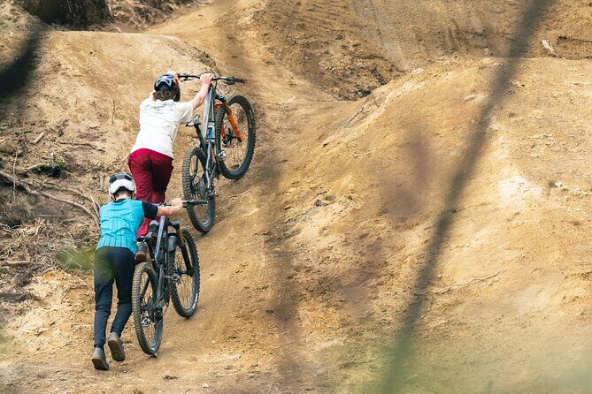 Half-Day Self-Guided Mountain Bike Journey through Whakarewarewa Redwood Forest - Reviews: Authentic Perspectives