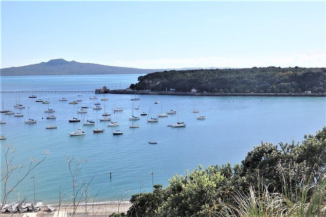 Half-Day: Small Group Auckland Scenic Tour - 4 HOURS - Practical Details and What to Expect