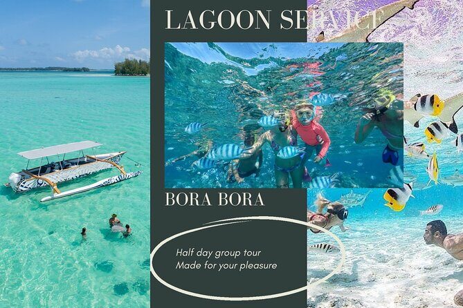 Half-Day Small-Group Cruise in Bora Bora with Snorkelling - Who Will Love This Tour?