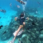 Half-Day Snorkeling Tour from Papeete - An In-Depth Look at the Itinerary