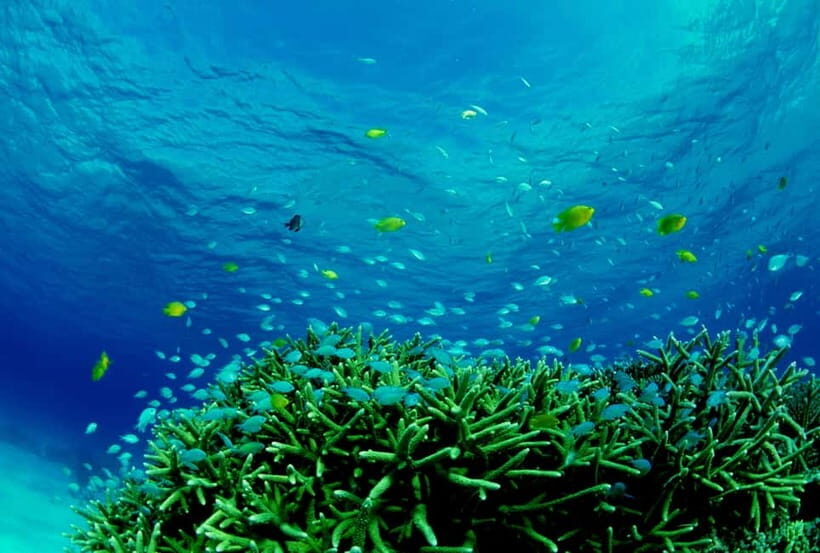 Half-Day Snorkeling Trip to Kerama & Marine Sports - Final Thoughts