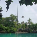 Half Day Tour at Eton Beach and Blue Lagoon with Lunch at Turtles - Who Will Love This Tour?