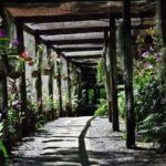 Half Day Tour from Nadi includes Local Markets, Orchid Gardens and Local Village - Shore Excursions - Practical Considerations and Tips