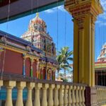 Half Day Tour in Nadi - What to Keep in Mind