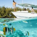 Half Day Tour lagoon discovery marine fauna flora small group - Who Will Love This Experience?