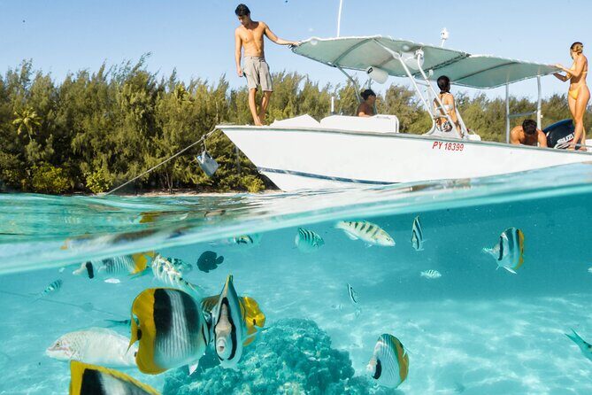 Half Day Tour lagoon discovery marine fauna flora small group - Who Will Love This Experience?