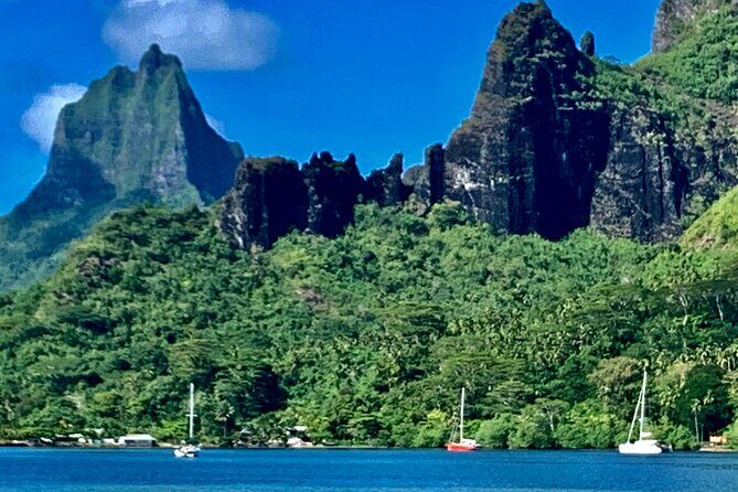 Half-Day Tour of Moorea Island in a Small Group - Things to Keep in Mind