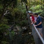 Half Day Tour to Daintree Rainforest and Mossman Gorge - Authentic Experiences and What Travelers Say