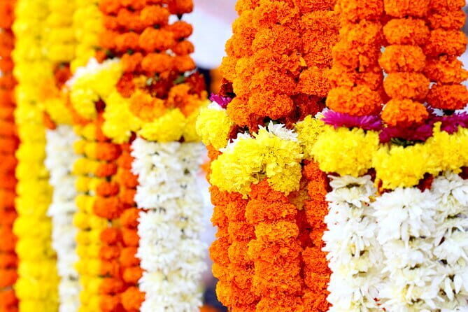 Half Day Tour to the Flower Market and Howrah Bridge in Kolkata - Who will enjoy this tour?