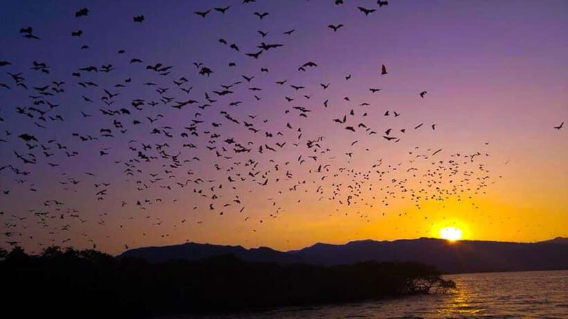 Half Day Trip: Kelor  Manjarite  Kalong Sunset - The Kelor Island Trek: An Impressive Panorama