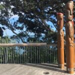 Half-Day Volcano Tour from Auckland - What This Tour Means for Travelers