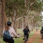 Half Day Wadandi Track Scenic E-Bike Tour - What’s Included and Practical Details