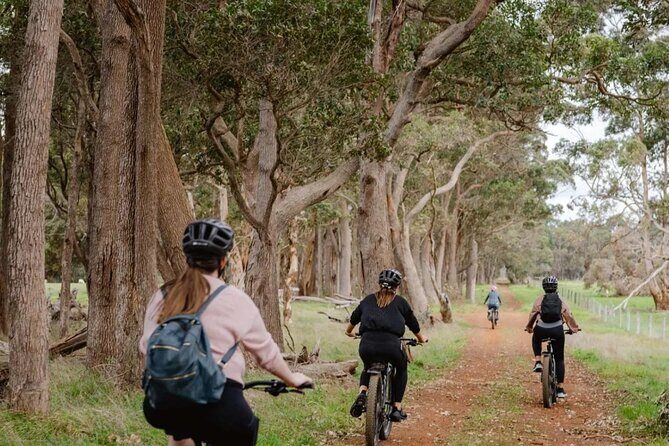 Half Day Wadandi Track Scenic E-Bike Tour - What’s Included and Practical Details
