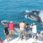 Half-Day Whale Watching Sunset Cruise from Broome - The Experience Value