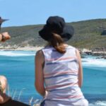 Half day Wine and Sights Discovery Tour Busselton - What to Expect from the Day