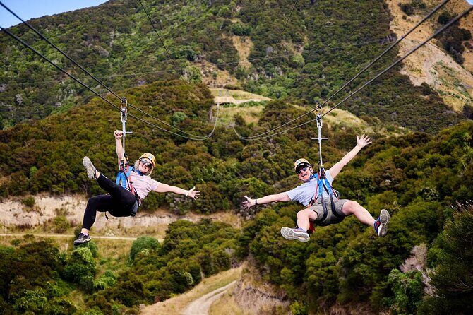 Half Day Zipline Adventure in Kaikoura - Authentic Reviews and Highlights