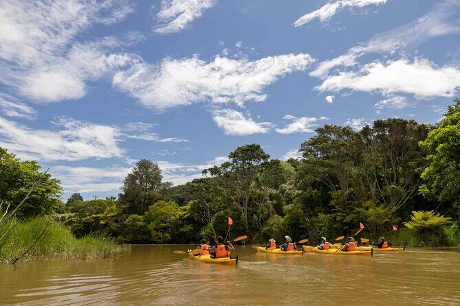 Hallertau Clevedon Kayak Tour - Final Thoughts: Is It Worth It?