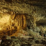 Halong Bay: Day Cruise from Halong Port Shore Excursion - A Detailed Look at the Itinerary