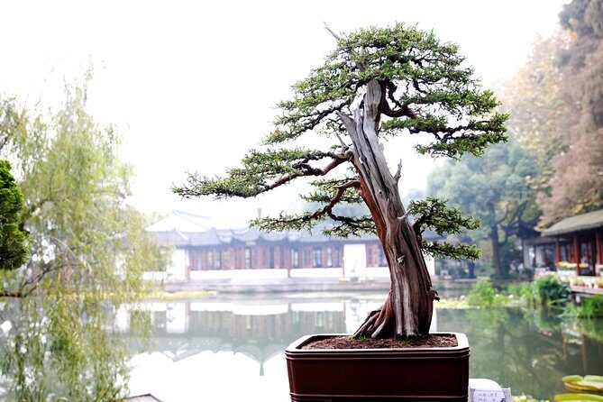 Hangzhou City Tour With Alibaba Visiting From Shanghai by Bullet Train - The Journey from Shanghai to Hangzhou