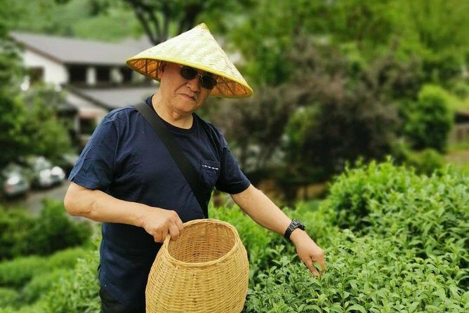 Hangzhou West Lake and Tea Plantation Half Day Tour - Visiting Longjing Tea Fields: A Cultural and Sensory Experience