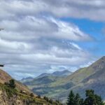 Hanmer Springs Private Day Tour - The Journey Begins: From Christchurch to Hanmer Springs