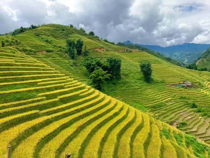 Hanoi: 2 Days Sapa, Hotel 4-stars,Transfer by VIP Limousine - Why This Tour Offers Great Value