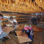 Hanoi: 3-Day Mu Cang Chai Motorbike Tour, Trek, Local Life - The Road Trip Breakdown: Day by Day