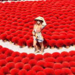 Hanoi: Incense, Hat Villages & Ninh Binh, Trang An Tour - What We Love About This Tour