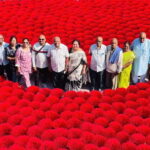 Hanoi: Incense Village & Ninh Binh Hoa Lu Trang An Day Trip - Practical Details and Value