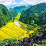 Hanoi/Ninh Binh: 1-Day Tam Coc/Trang An, Hoa Lu & Mua Caves - Analyzing the Experience: What Makes It Stand Out