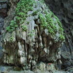 Hanoi: Perfume Pagoda Day Trip with Boat Ride & Lunch - What to Expect from the Tour