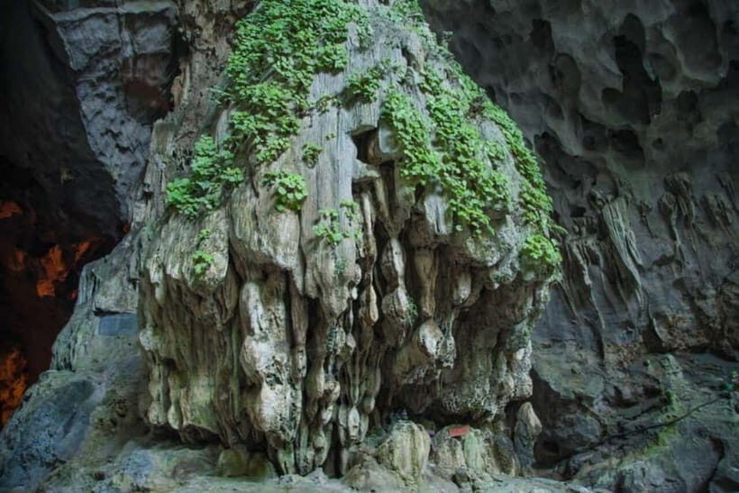 Hanoi: Perfume Pagoda Day Trip with Boat Ride & Lunch - What to Expect from the Tour