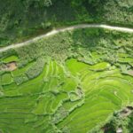 Hanoi to Sapa: Terraced Fields, Culture & Cuisine  3 Days - What’s Included and What’s Not