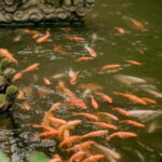 Hanoi: Viet Phu Thanh Chuong Guided Tour with Lunch & Pickup - Why This Tour Offers Good Value