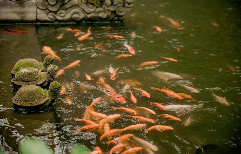 Hanoi: Viet Phu Thanh Chuong Guided Tour with Lunch & Pickup - Why This Tour Offers Good Value