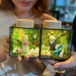 Hanoi: Vietnam National Museum & Terrarium Workshop - A Closer Look at the Hanoi Experience