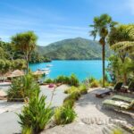 Happy Hour Cruise to Lochmara -from Picton? Take a short cruise - Exploring Lochmara: More Than Just a Stopover