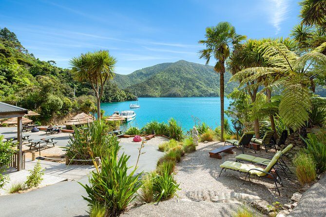 Happy Hour Cruise to Lochmara -from Picton? Take a short cruise - Exploring Lochmara: More Than Just a Stopover